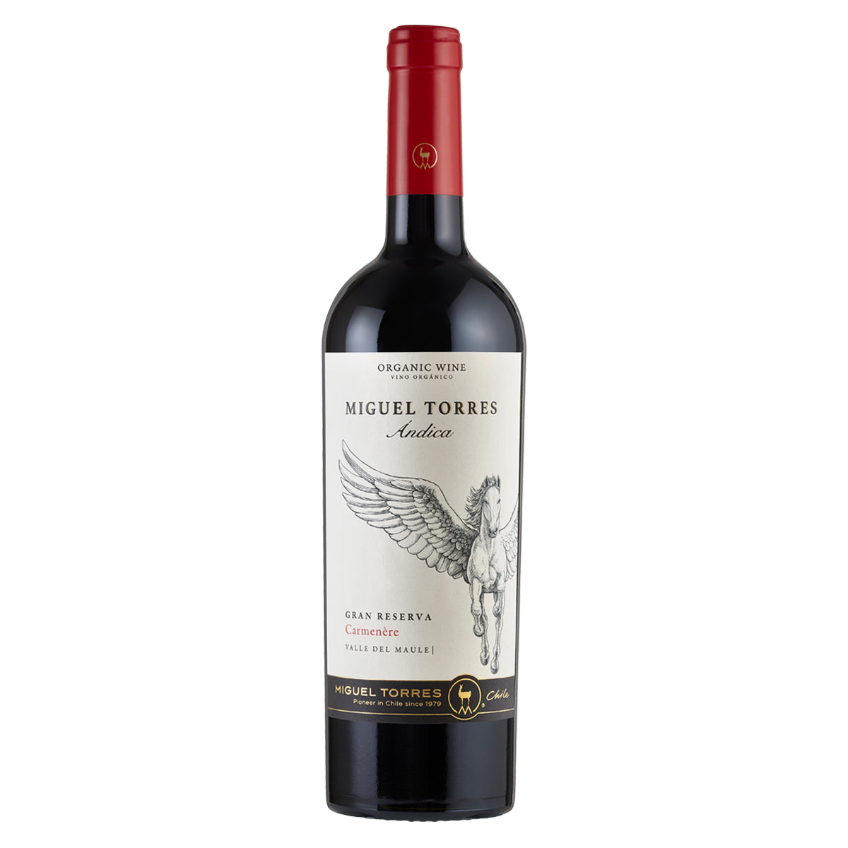 ANDICA GRAN RESERVA 750 ML CABERNET SAUVIGNON – El Mundo del Vino